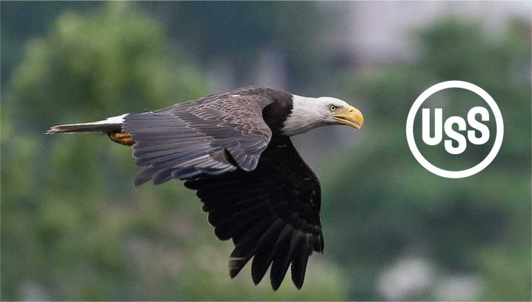 U. S. Steel Bald Eagle Quad Cam View – PixCams, Inc.